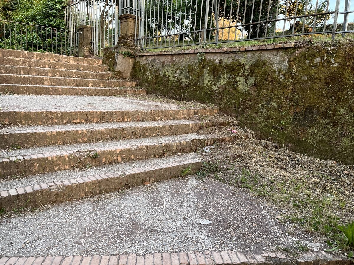 Nassim Nicholas Taleb (@nntaleb@forall.social) - forall.social